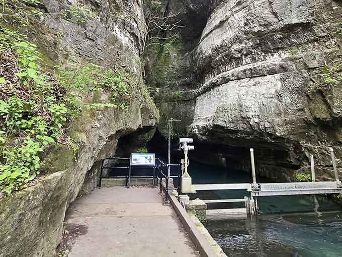 That cave opening has been pouring cold, clear water into the world for longer than anyone can properly imagine.