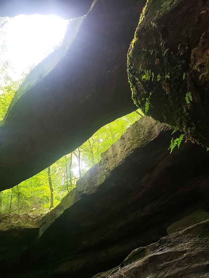 Looking up through the gap in the sandstone arch, light pours in through moss-fringed rock like a spotlight aimed at something ancient and patient.