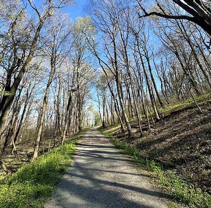 The road leading into this corner of Madison County is its own quiet reward before the hike even begins.