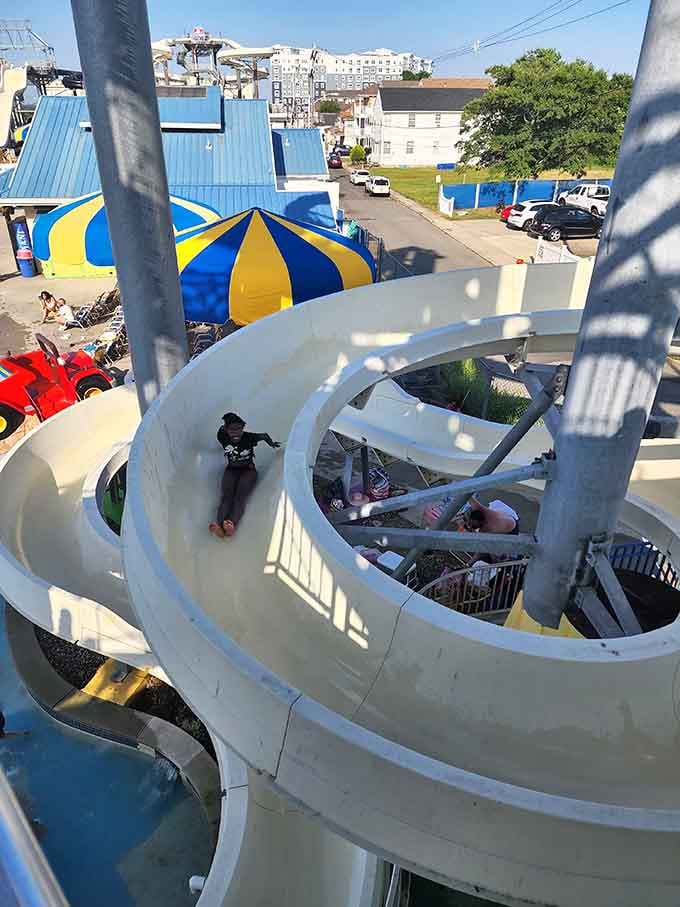 Spiraling down an open slide with the whole town spread out below, this is what a good summer afternoon looks like.