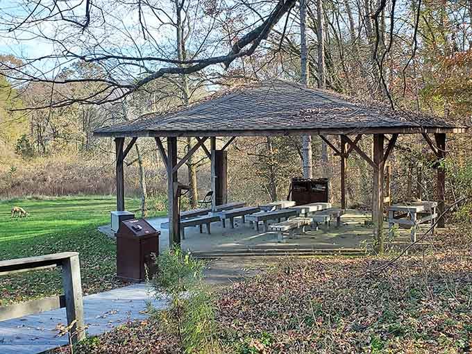 A shaded pavilion surrounded by open meadow, perfect for a picnic after your 10,000-year history lesson.