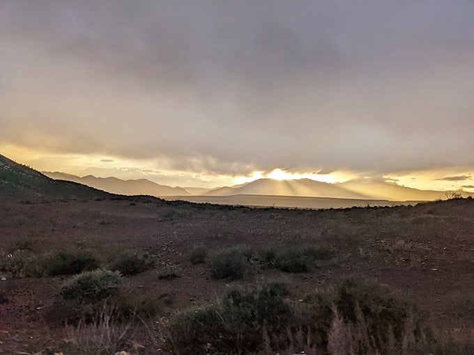 Desert sunsets painting the sky golden&mdash;proof that Arizona's evening light show never gets old or boring.