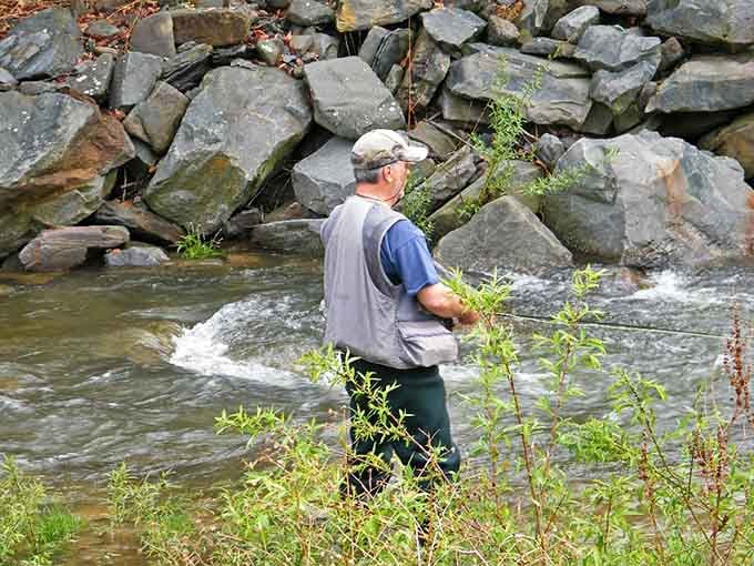 Fly fishing in Fall Brook is the original form of meditation, and this angler clearly has the right idea.