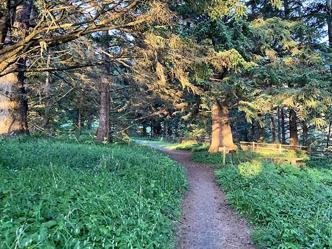 A trail through old-growth Sitka spruce that feels like walking into a fairy tale nobody bothered to publish.