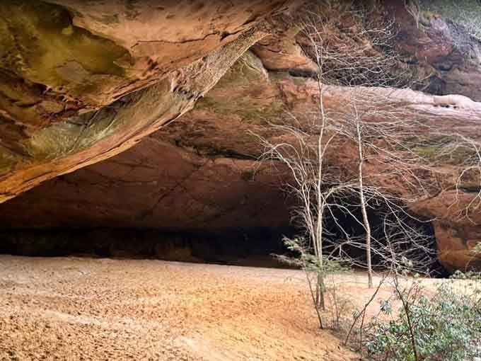 Warm sandstone curves overhead in colors that no paint store has ever successfully named or replicated on a chip.