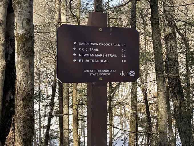 The trail signs at Chester-Blandford State Forest keep things simple. The waterfall is just 0.1 miles away.