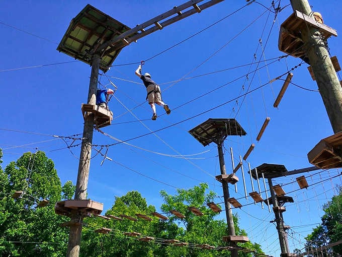 Against a brilliant blue sky, the aerial course looks like a playground designed by very ambitious eagles.