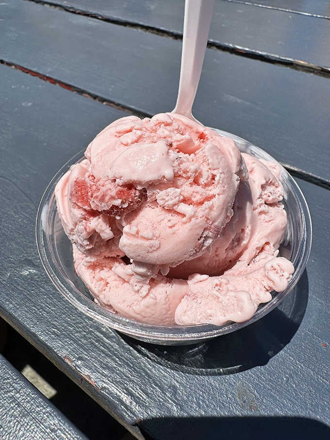 A generous scoop of strawberry ice cream glowing in the sunshine, summer in a cup.