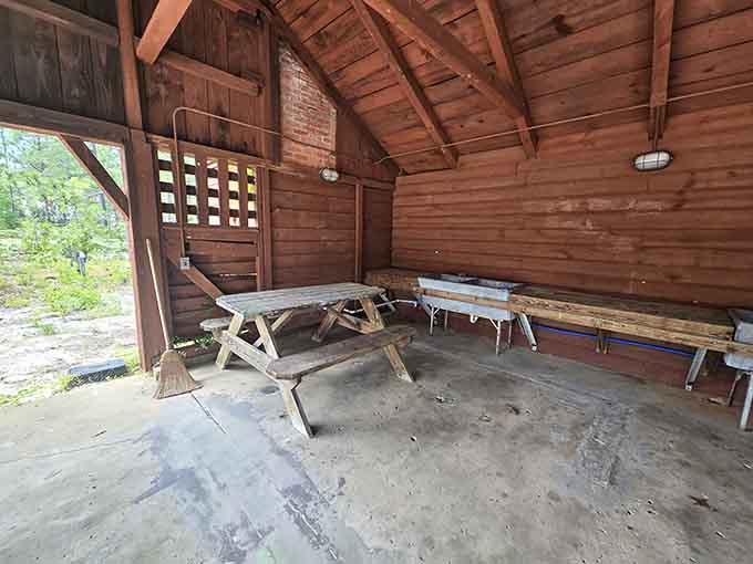 Simple wooden benches, open-air shelter, pine forest all around. This picnic spot has a Michelin star in pure simplicity.