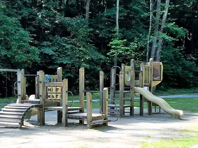 A wooden playground tucked under towering trees, where kids burn energy while parents remember what fresh air feels like.