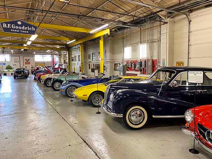 The Route 66 Car Museum lines up classics like a greatest hits album you can actually walk through.