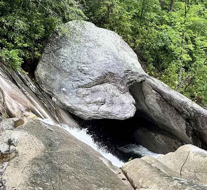 That boulder isn't blocking the water. It's just making the whole scene more dramatically interesting for everyone.