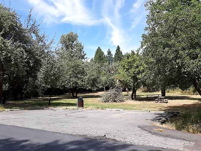 Shaded picnic areas provide respite from the sun while you marvel at views that stretch into Idaho.