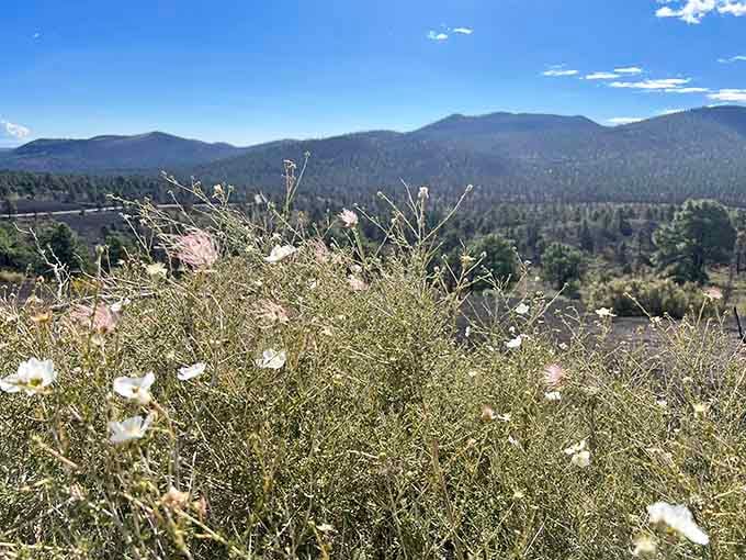 Delicate wildflowers swaying against a backdrop of forested volcanic ridges. Even volcanoes appreciate a little softness sometimes.