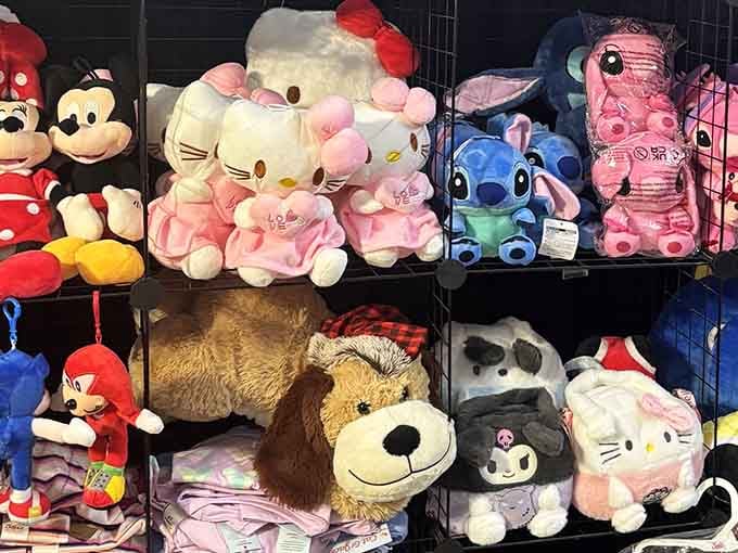 Hello Kitty, Stitch, and Mickey all sharing shelf space, this stuffed animal collection is pure, unapologetic joy.