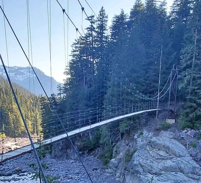 The bridge stretches across the gorge like it's been there forever, patient and ready for your crossing.