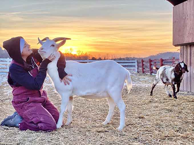 A golden sunset, a gentle goat, and a moment of pure connection that no filter could ever improve.