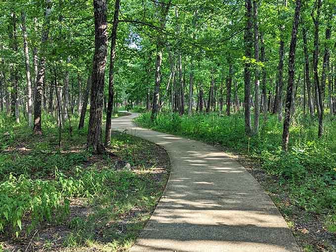 A smooth, winding path through lush green forest that makes every step feel like a small celebration.