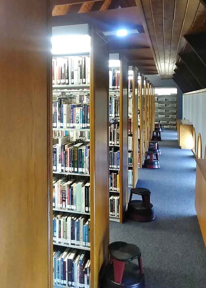 Hallways lined with books where getting lost is actually the entire point of being here.