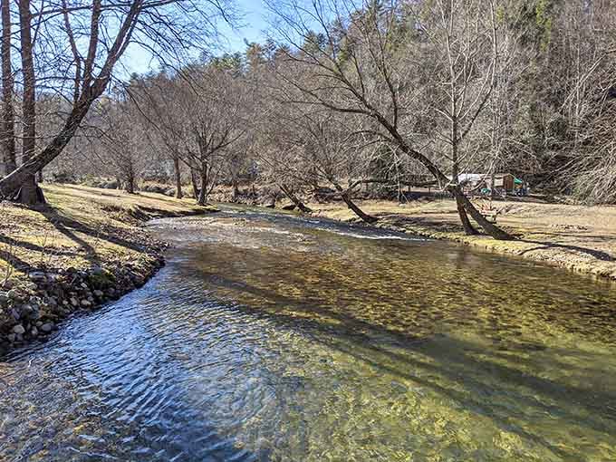 The Johns River runs quietly nearby, completely unbothered by the thirty thousand mugs just up the bank.