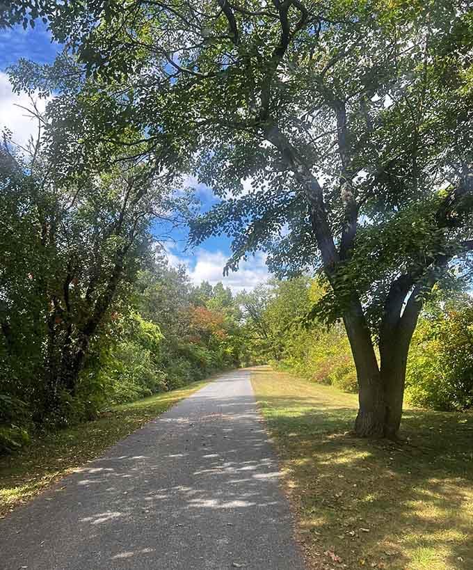 Early fall color peeking through the tree canopy overhead turns this shaded pathway into a slow, satisfying walk through a living painting.