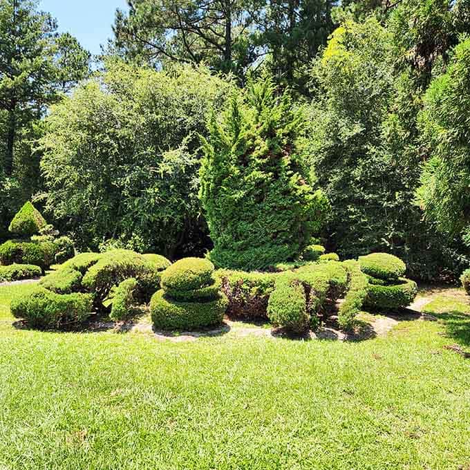 Rounded topiary shrubs spell out a living message across the lawn, green letters that took years of patience to write.