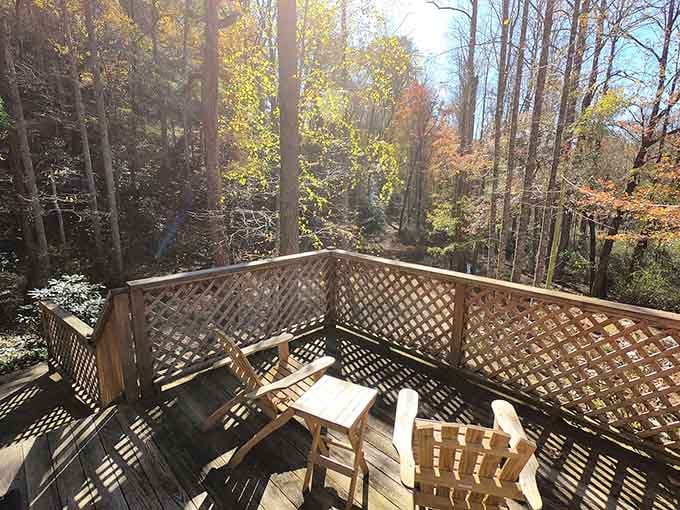 Sunlight through the trees, two chairs, and total quiet. This balcony is basically a prescription for slowing down.