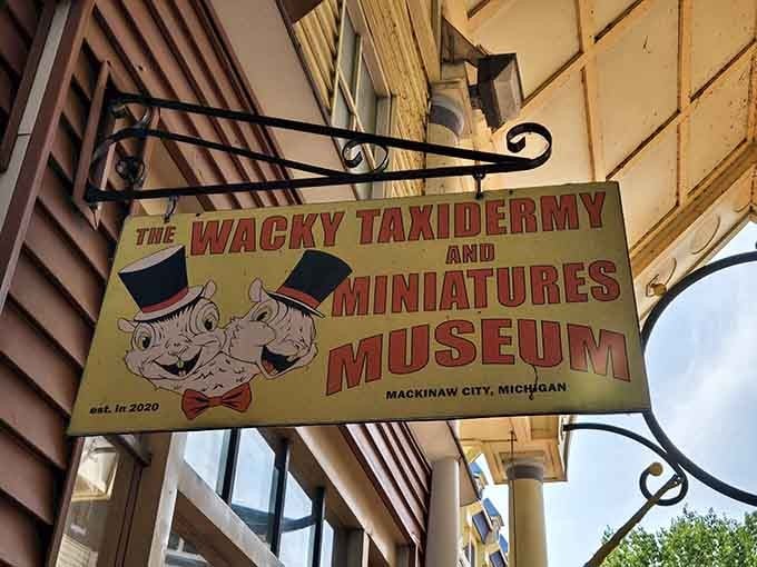 This vintage sign hanging outside is basically a handwritten invitation to the best kind of weird afternoon.