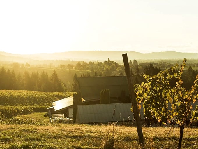 Late afternoon light turning the valley gold, the kind of scene that makes you question every life choice that kept you away.