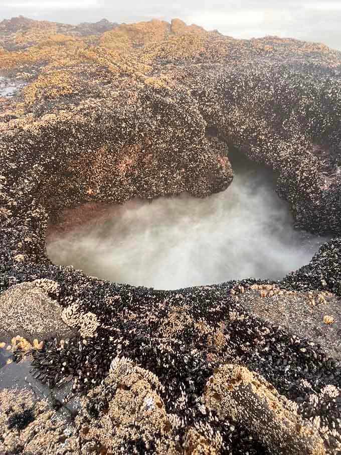 The misty aftermath of a wave collision creates an otherworldly atmosphere that cameras absolutely love.