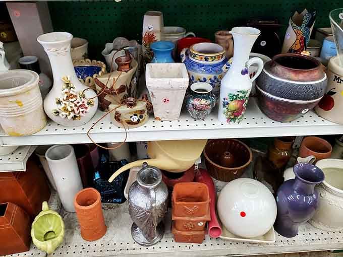 A colorful shelf of vases and pottery in every shape and size, each one telling its own quiet story.