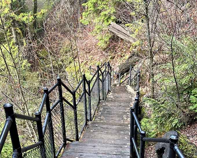 These stairs descend toward the viewing platform like a stairway to heaven, except the destination is even better.