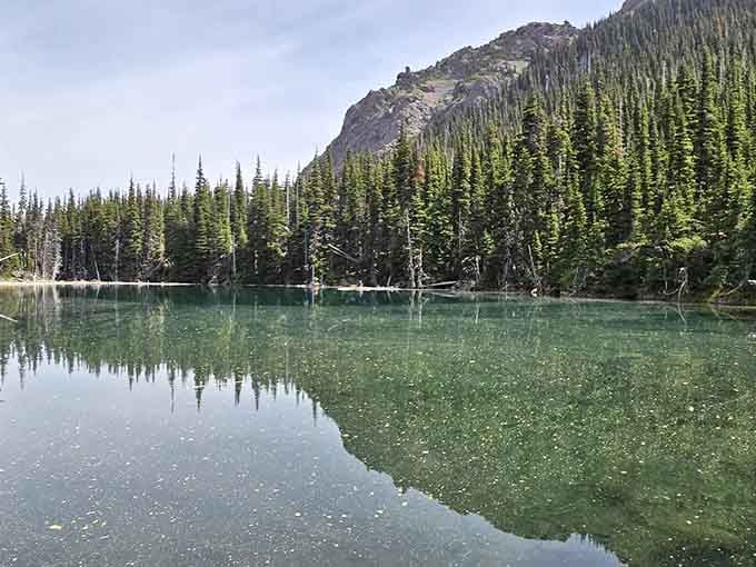 That water is so clear and still it looks like the trees are admiring their own reflection. Honestly, fair enough.