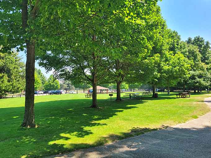 Shaded picnic areas scattered throughout the park, perfect for refueling between beach and playground adventures.
