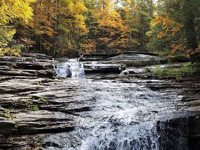 Fall foliage frames the falls like a masterpiece. Honestly, this view should cost something.