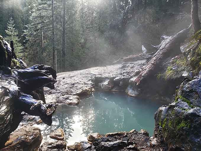 Morning steam drifts across the turquoise water like something from a dream sequence.