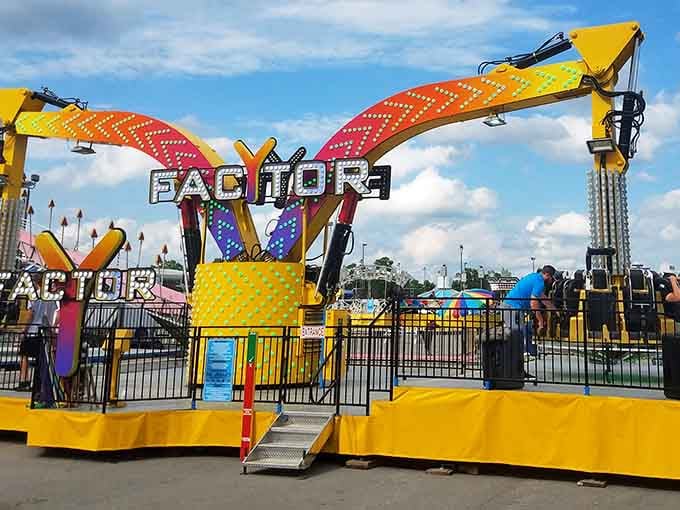 The Woodford County Fair brings the rides, the lights, and that particular joy that only a county fair can deliver.