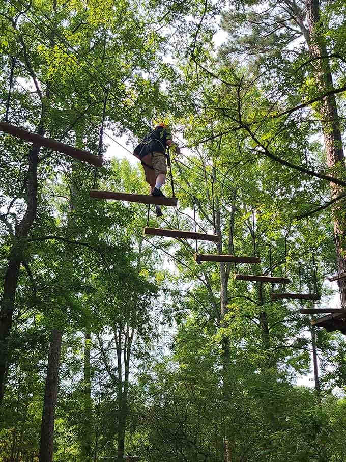Suspended between the treetops, this adventure course bridge reminds you that courage and fresh air are genuinely good medicine.