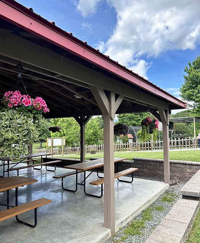 Covered picnic areas with hanging flowers offer the perfect spot to rest between animal encounters and plan your return.