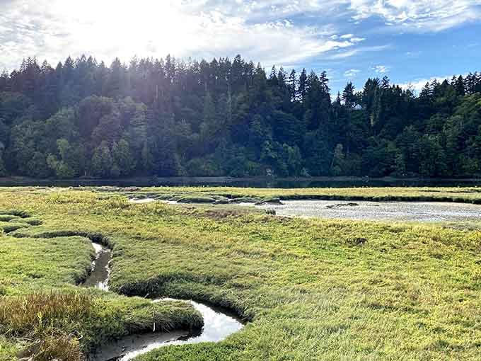 Little winding channels cut through the marsh grass like nature drew its own map, just for the fun of it.