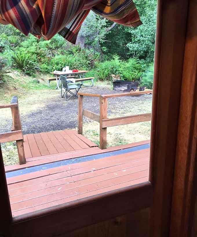 Rainy day views from inside the yurt. A picnic table, a fire pit, pure contentment.