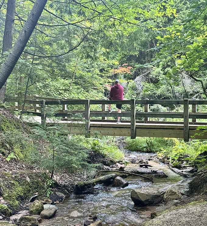 Cross the wooden footbridge and you're officially in the kind of place that makes stress evaporate instantly.