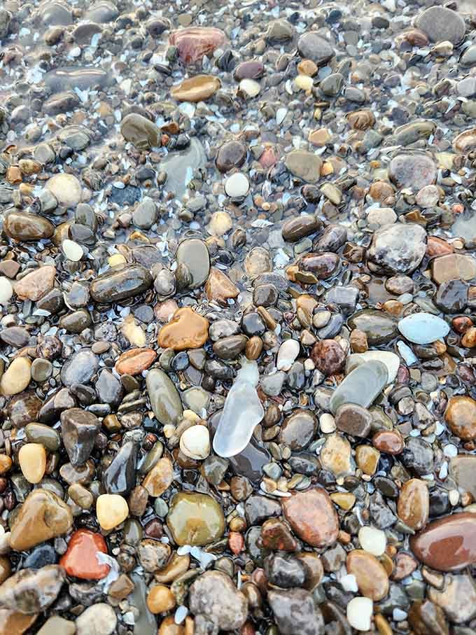 A treasure hunter's paradise where every smooth stone tells its own ancient story.