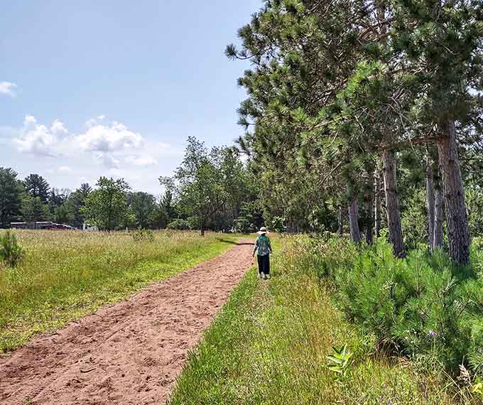 One lone hiker, a sandy path, and towering pines &mdash; this trail is basically an invitation to clear your head completely.
