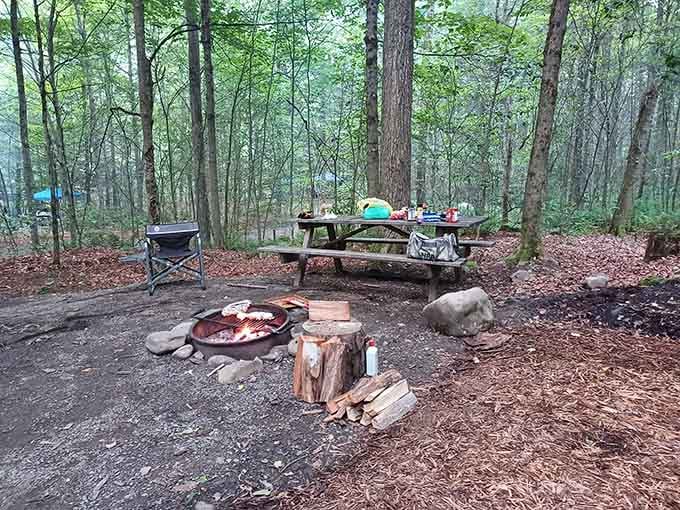 A campsite with a crackling fire and a picnic table is basically Pennsylvania's version of a five-star dining experience.