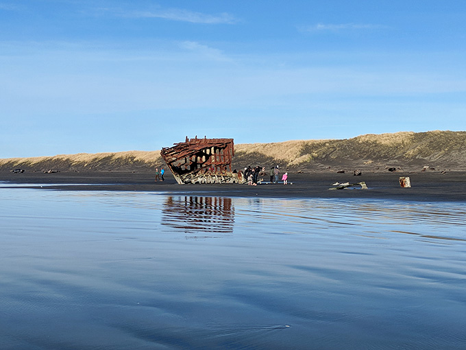 Bathed in cool blue coastal haze, the Peter Iredale looks like a painting someone forgot to finish.