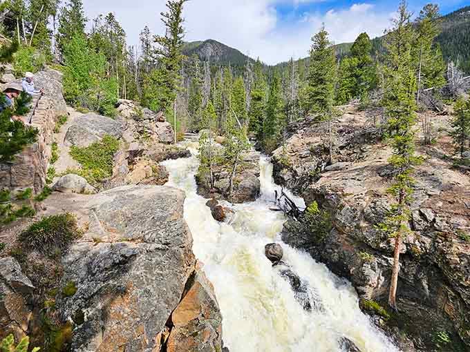 Adams Falls churns through a rocky gorge in Rocky Mountain National Park, wild and white and completely unapologetic about it.