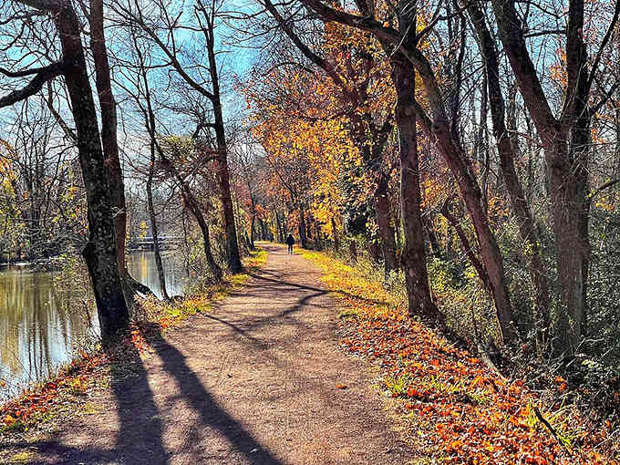 One lone walker follows a leaf-strewn path beside the glimmering water, living the kind of afternoon everyone deserves more often.