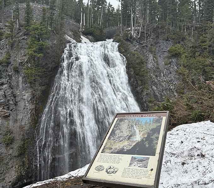 Narada Falls thunders down the mountainside with enough power to remind you that nature always gets the last word.