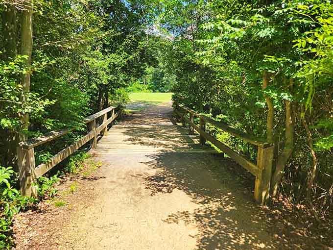 This sunny wooden footbridge at Parvin practically beams with warmth, beckoning you toward the green meadow beyond.